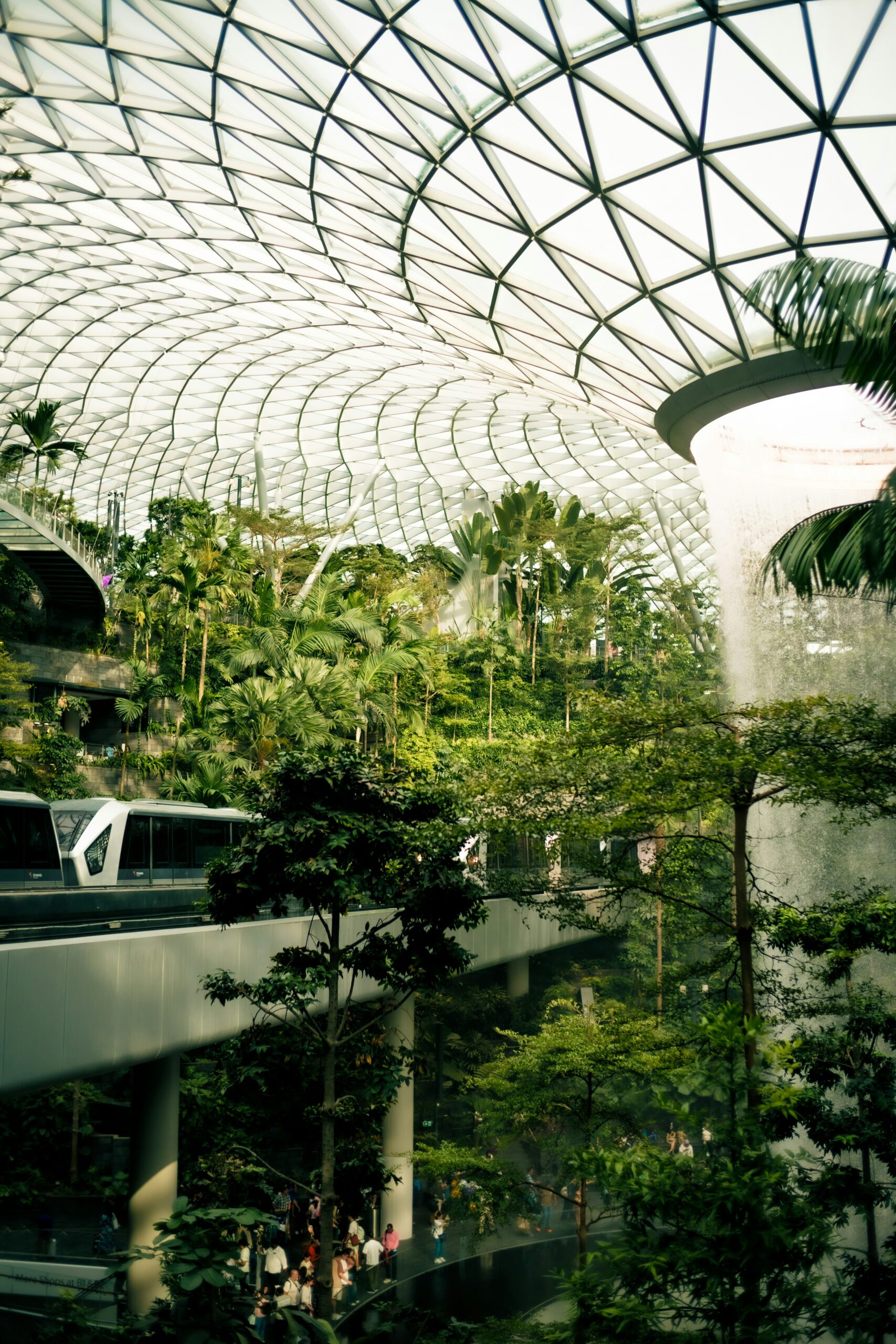 Principles and Benefits of Biophilic Design | mercedesquintanilla.com/blog